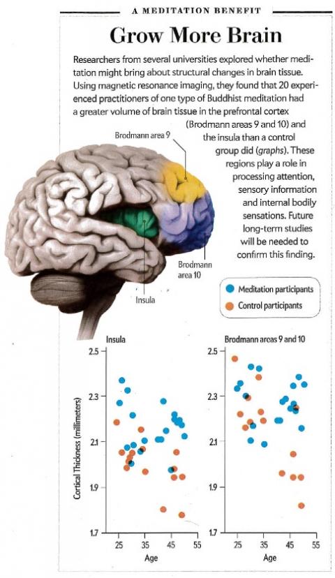 Grow more brain | alvinalexander.com